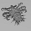 pthirus pubis louse 3d model