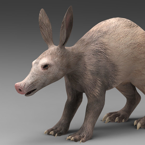 Aardvark Orycteropus 3D 모델 - TurboSquid 387205