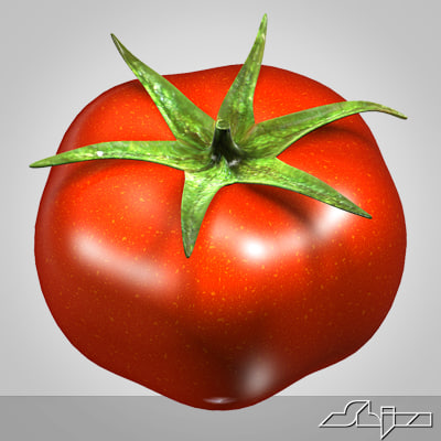 maya tomato vegetable