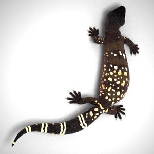 Lizard Bus 3D Models for Download | TurboSquid