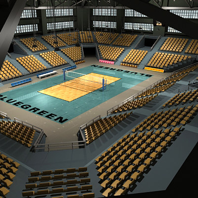 max volleyball arena ball