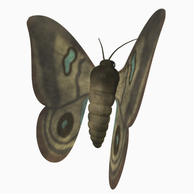 ma moth animation