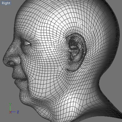 head old man edward 3d model