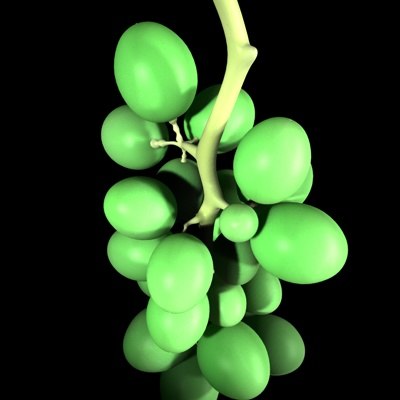 3d grapes model
