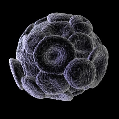 100 objects 2 3d model