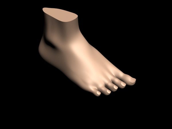 realistic foot 3d model