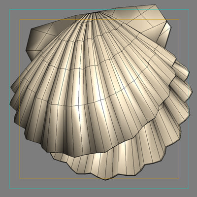 maya shell