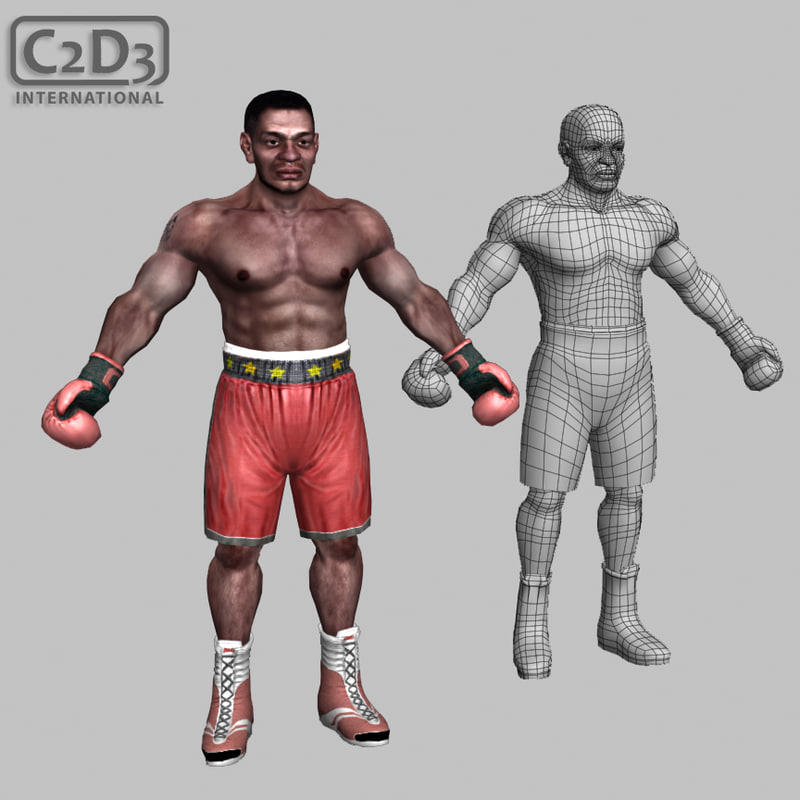 boxer male athlete 3d x