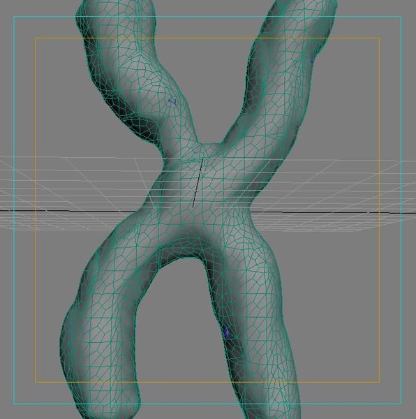 3d model chromosome science medical