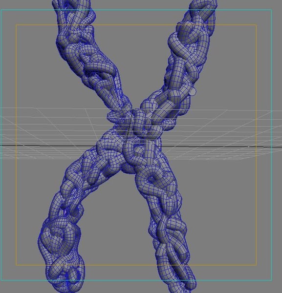 3d model chromosome science medical