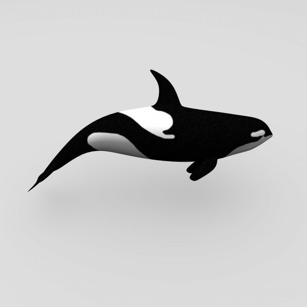 3d sea animals whales orca model
