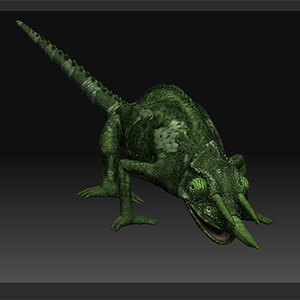 Chameleon 3D Models for Download | TurboSquid