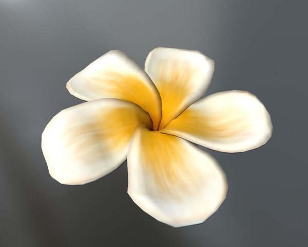 Hibiscus 3D Models for Download | TurboSquid