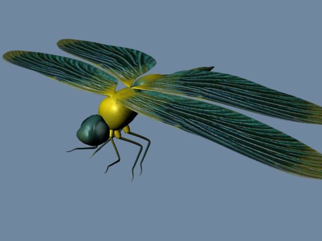 dragonfly 3d obj
