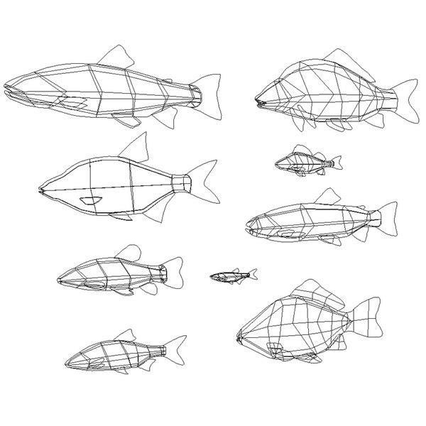 3d model fish carp pike salmon