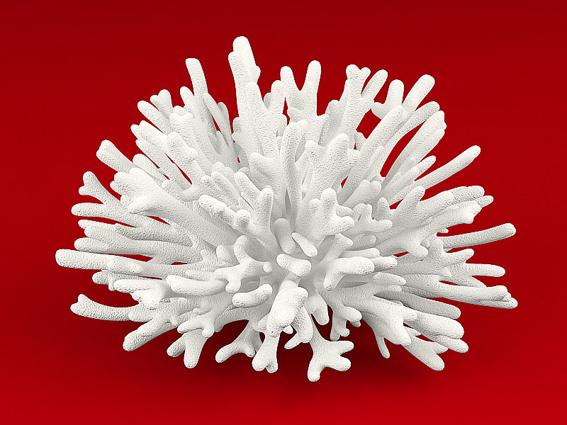 3d coral model