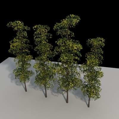 trees architectural 3d model