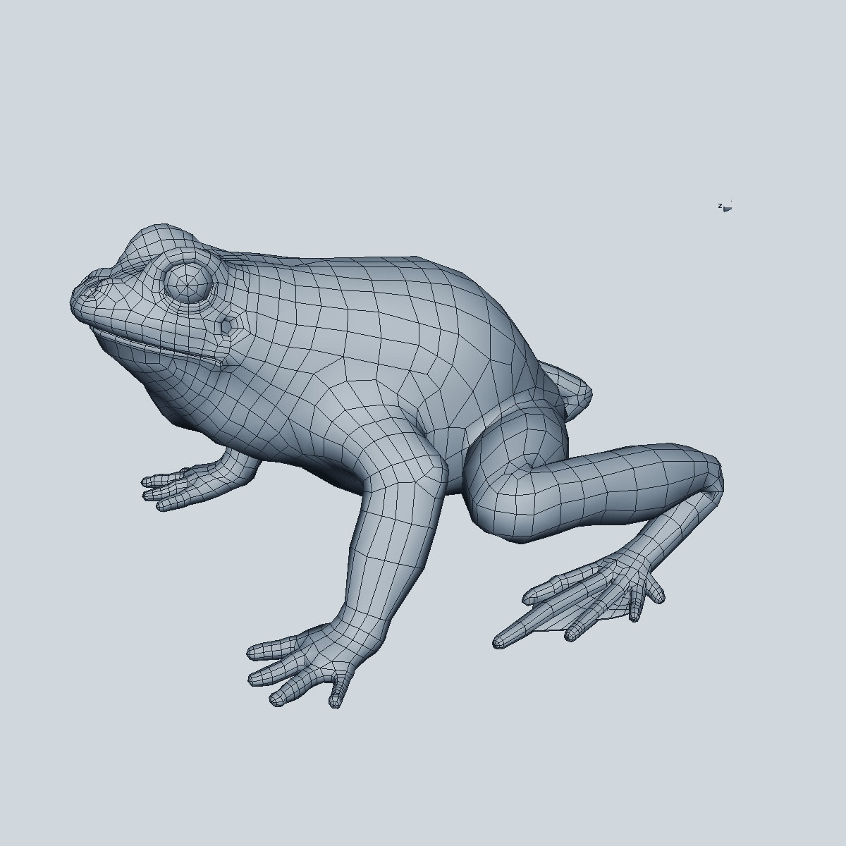3d frog skeleton