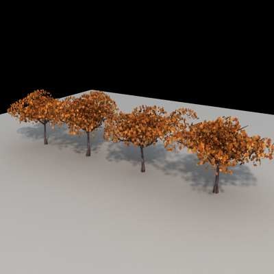 trees architectural 3d model