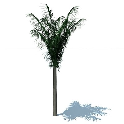 Rhino Tree Models | TurboSquid