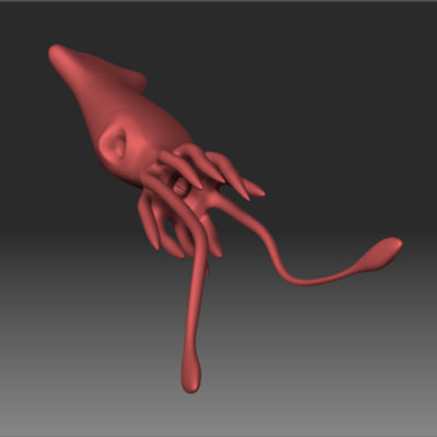 3D Squid Models | TurboSquid