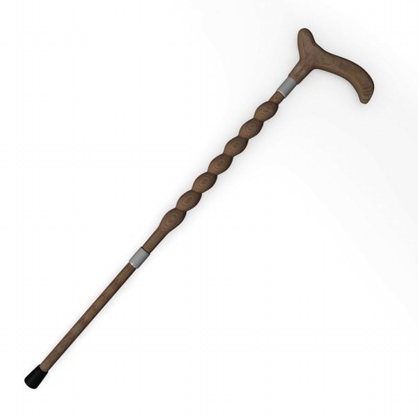 cane 3d model