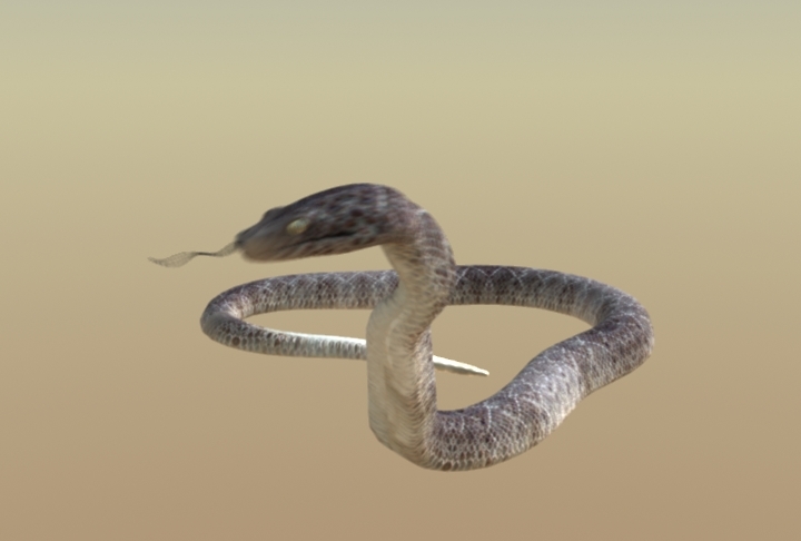 rattlesnake strike snake rattles 3d lw