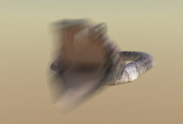 rattlesnake strike snake rattles 3d lw