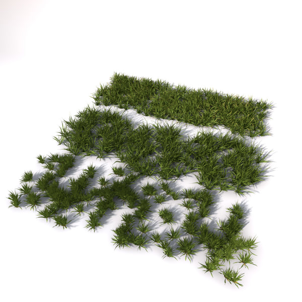 3d grass natural model