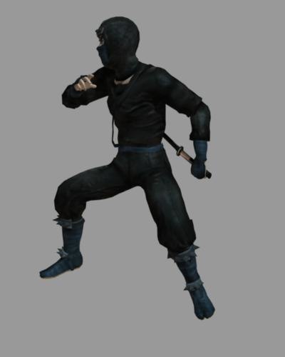 male ninja 3d model