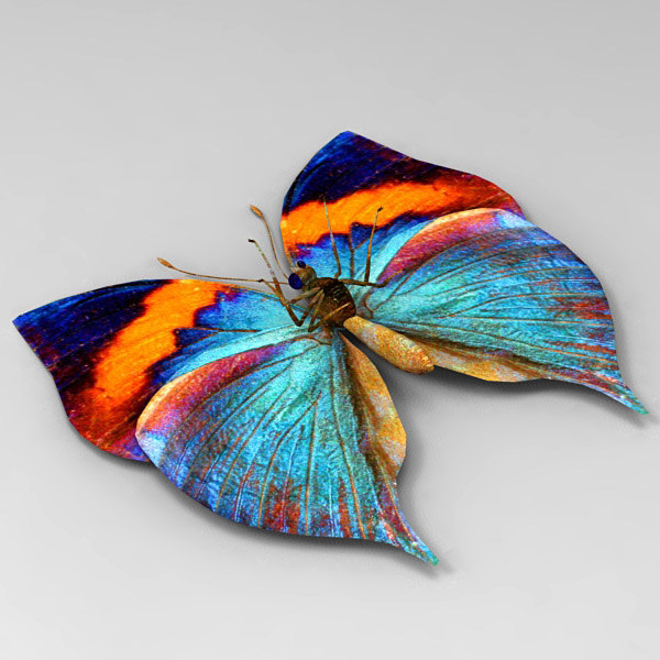 modelo 3d Mariposa 3 - TurboSquid 415508