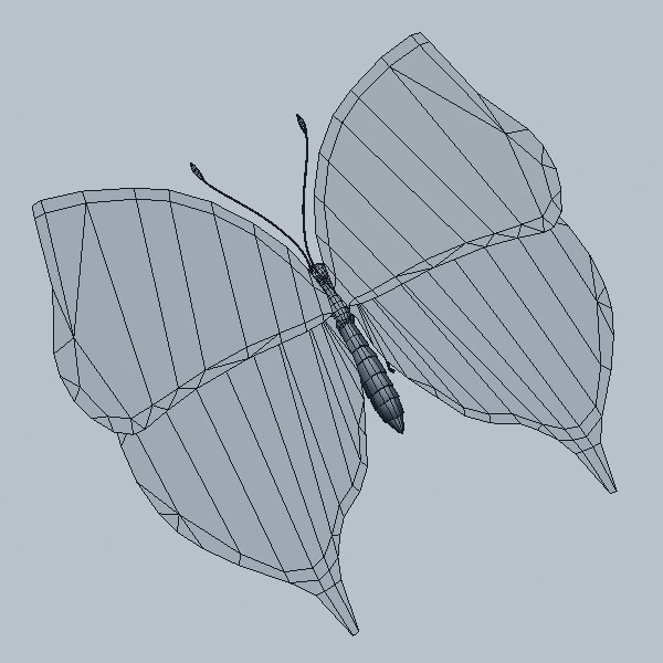 3d butterfly butt