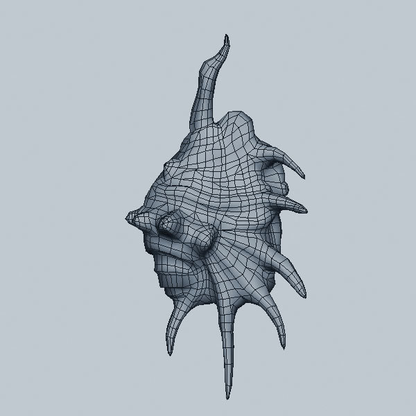 3d cockleshell shell model