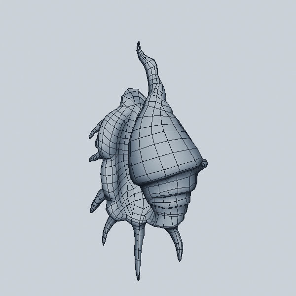 3d cockleshell shell model