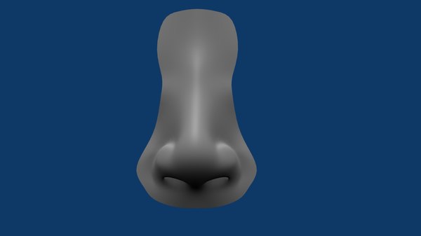 3D Nose Models | TurboSquid