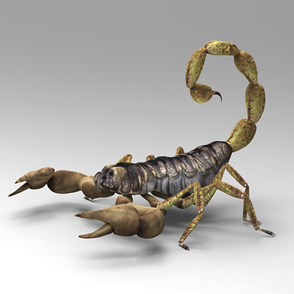 3d model of scorpion scorp scorpio