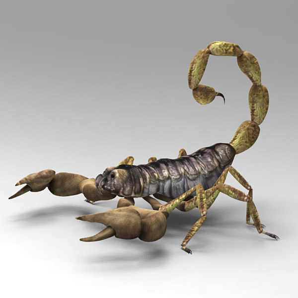 3d model of scorpion scorp scorpio