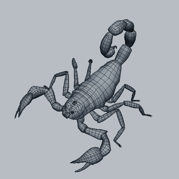 3d model of scorpion scorp scorpio