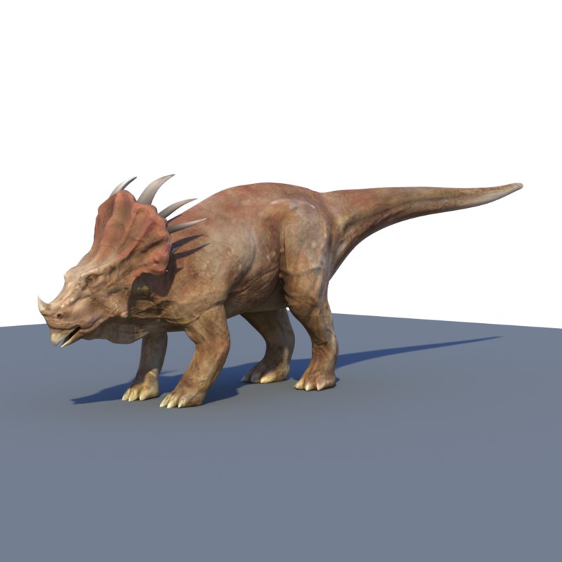 styracosaurus dinosaur details 3d model