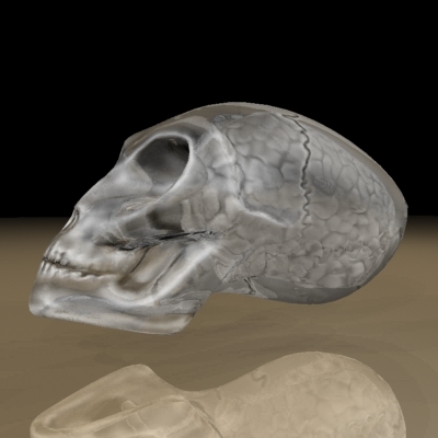 3d glass alien skull brain model