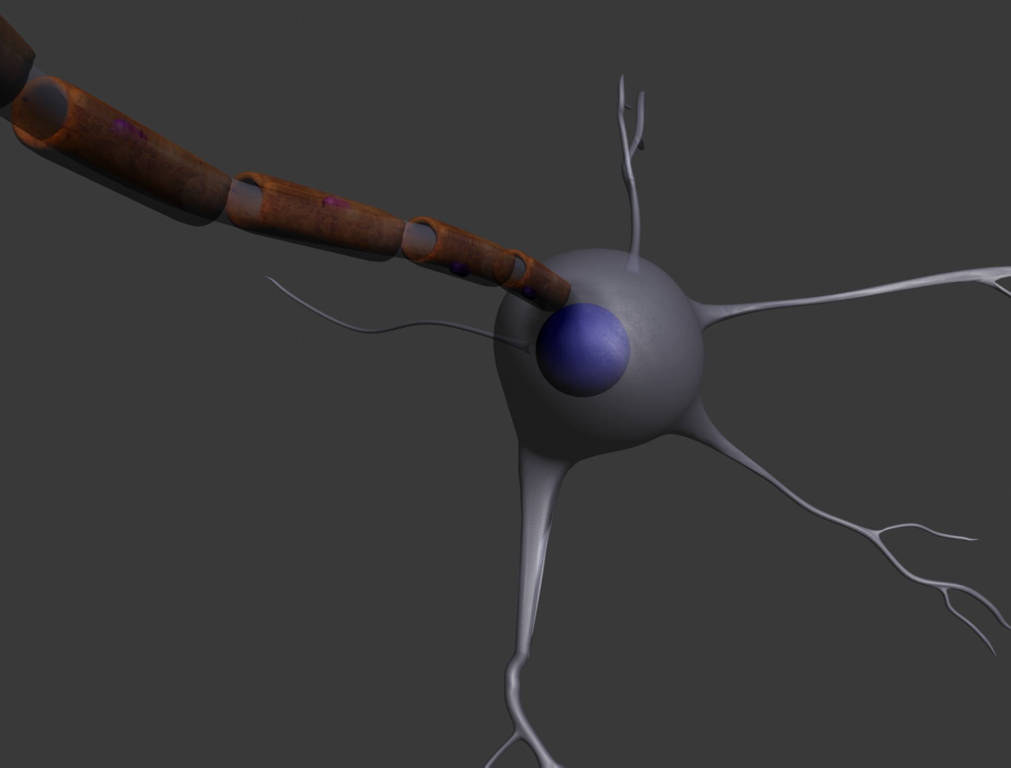 neuron cell 3d max