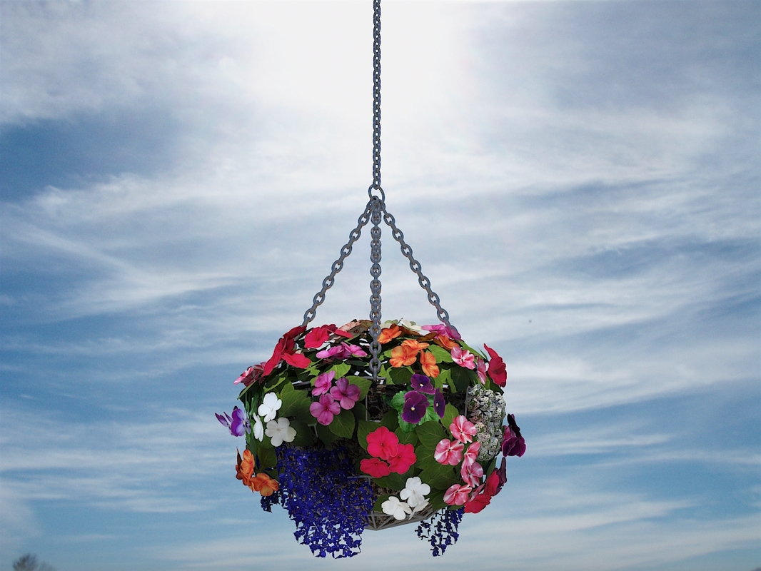 3d hanging flower basket model