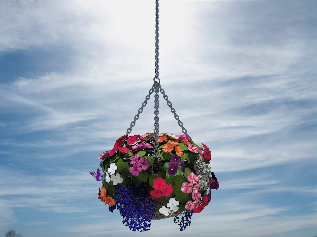 3d hanging flower basket model