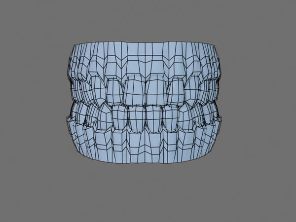 human teeth 3d model