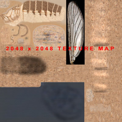 mosquito insect 3d model