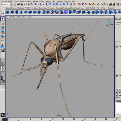 mosquito insect 3d model