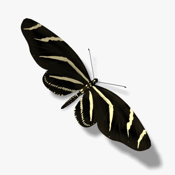 Free 3D Butterfly Models | TurboSquid