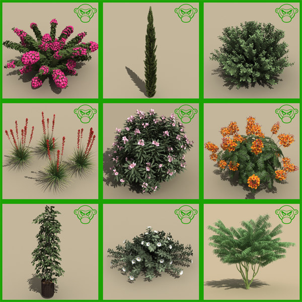 maya small plant set