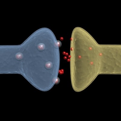 3D Neurotransmitter Models | TurboSquid