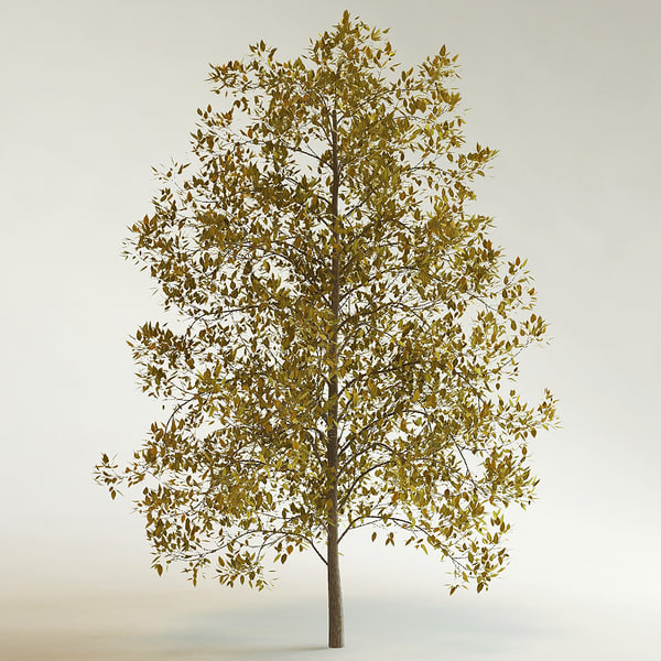 big plants collections 3d max